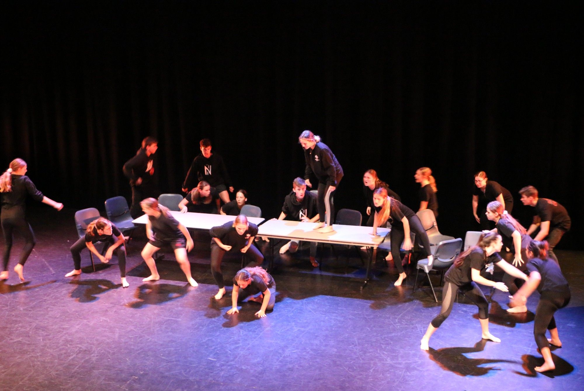 School Workshops, Talks and Tours – The National Institute of Dramatic ...