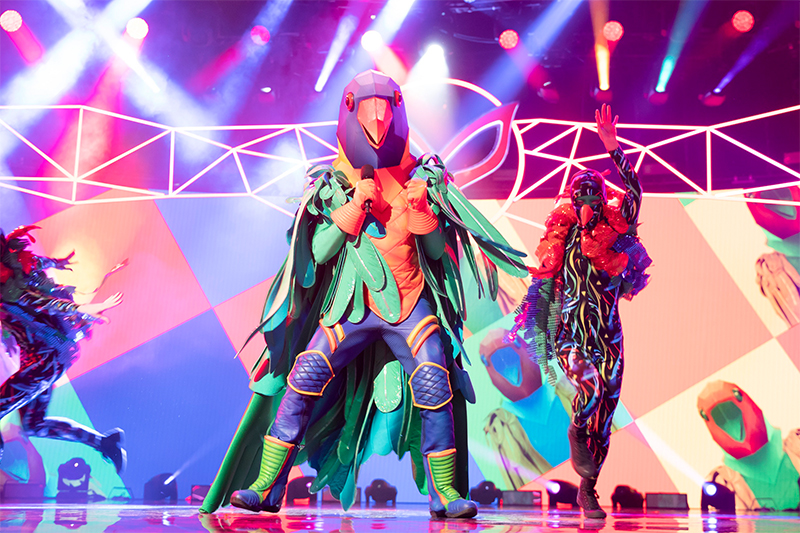 NIDA Lecturer Tim Chappel shares his Masked Singer illustrations – The ...